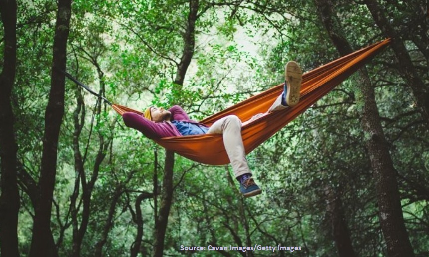 Behavioral Development Lab (BDL)